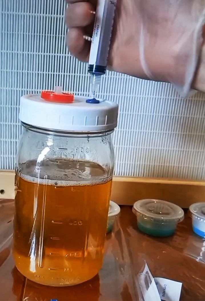 Liquid culture jar and agar - Mushrooms Reach Blog